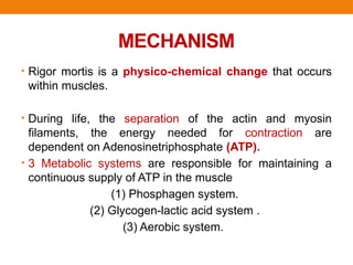 RIGOR MORTIS forensic medicine Late pm changes.pptx