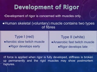 Rigor mortis ppt | PPTX