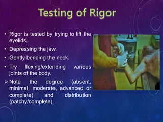 Rigor mortis ppt | PPTX