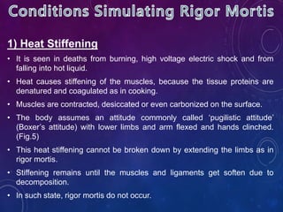 Rigor mortis ppt | PPTX