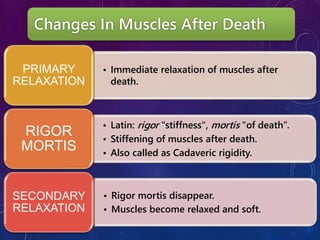 Rigor mortis ppt | PPTX