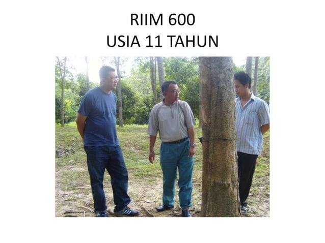 Riim 600 kppk | PPT