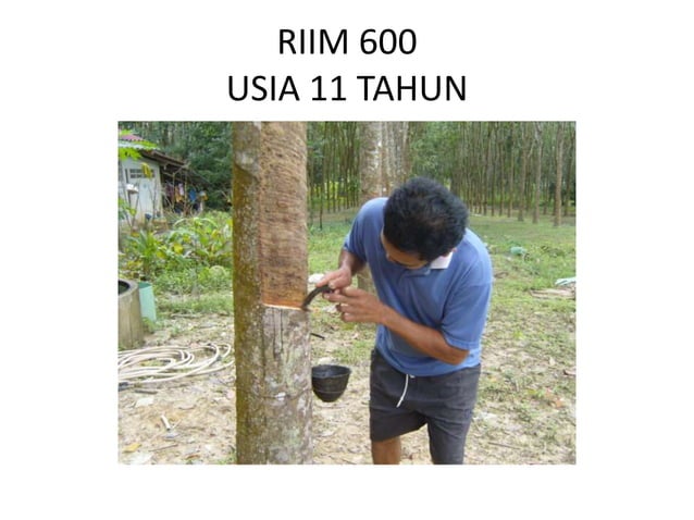 Riim 600 kppk | PPT