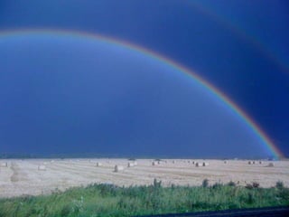 Põllumajandusettevõtjad maa kasutajana, hoidjana ja väärtuste loojana ...