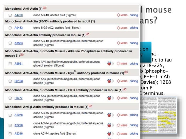 Resource Identification Initiative | PPTX | Databases | Computer ...