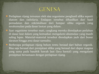 Rijang ppt (2) | PPT