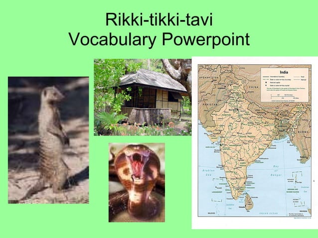 Rikki tikki-tavi Vocabulary | PPT | Books and Literature
