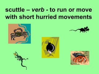 Rikki tikki-tavi Vocabulary | PPT