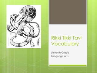 Rikki Tikki Tavi Vocabulary | PPT