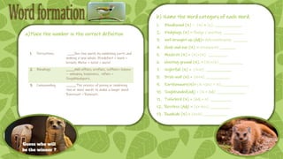 Rikkytikkitavi vocabulary worksheet | PPT