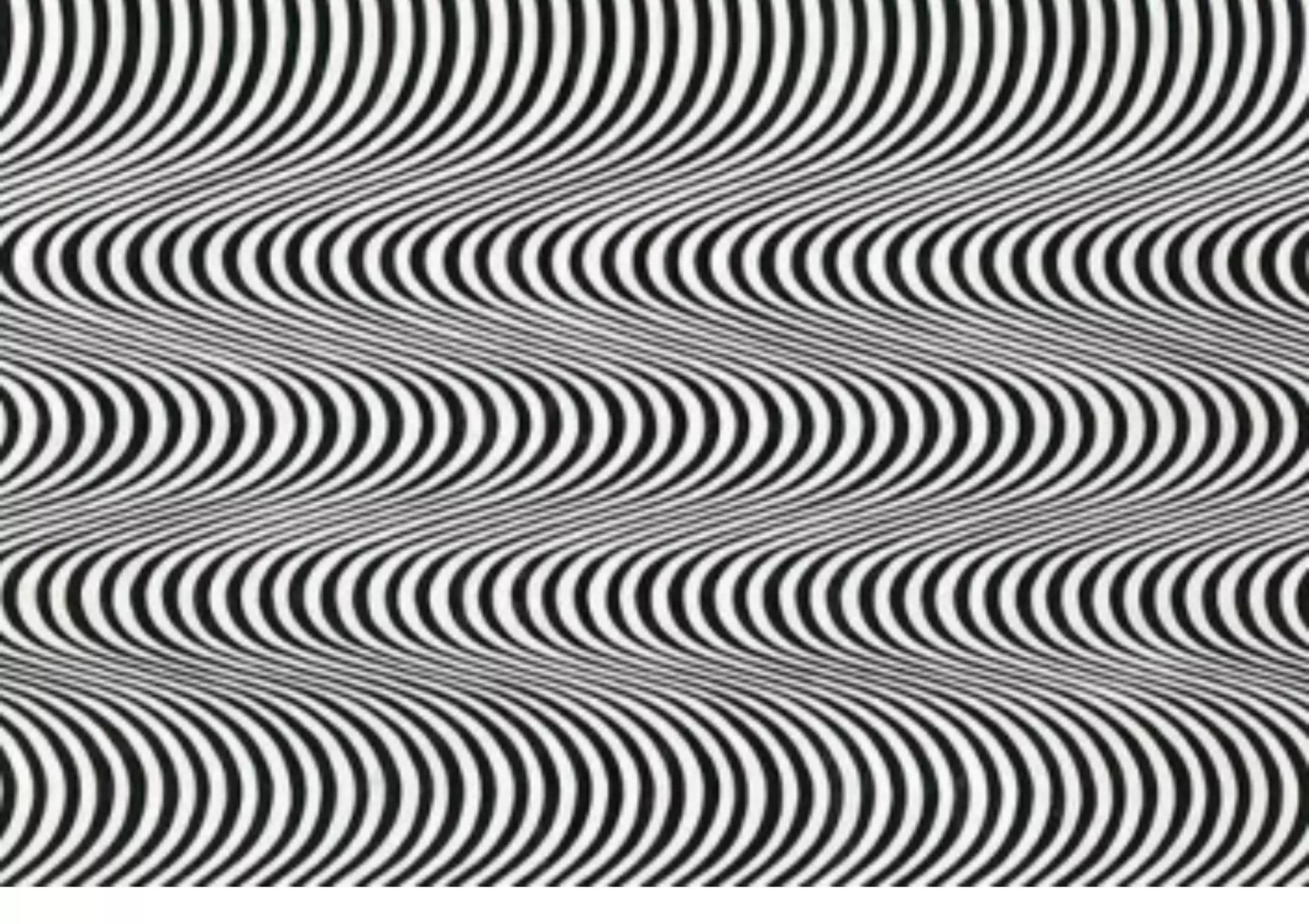 wow! Bridget Riley Start II | PPT