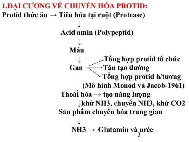 Rối loạn chuyển hóa protid