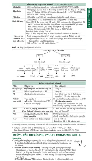 rối loạn nhịp tim.pdf