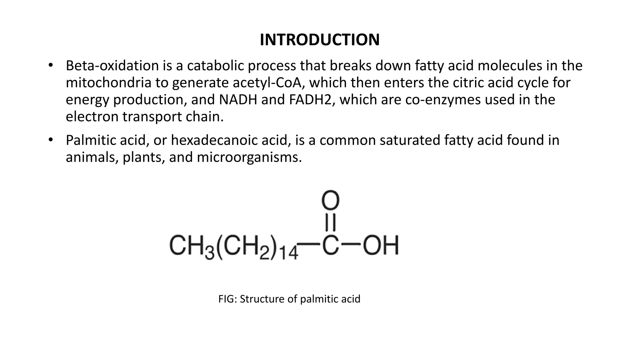 Beta Oxidation of Palmitic acid(fatty acids) with its energetics and ...