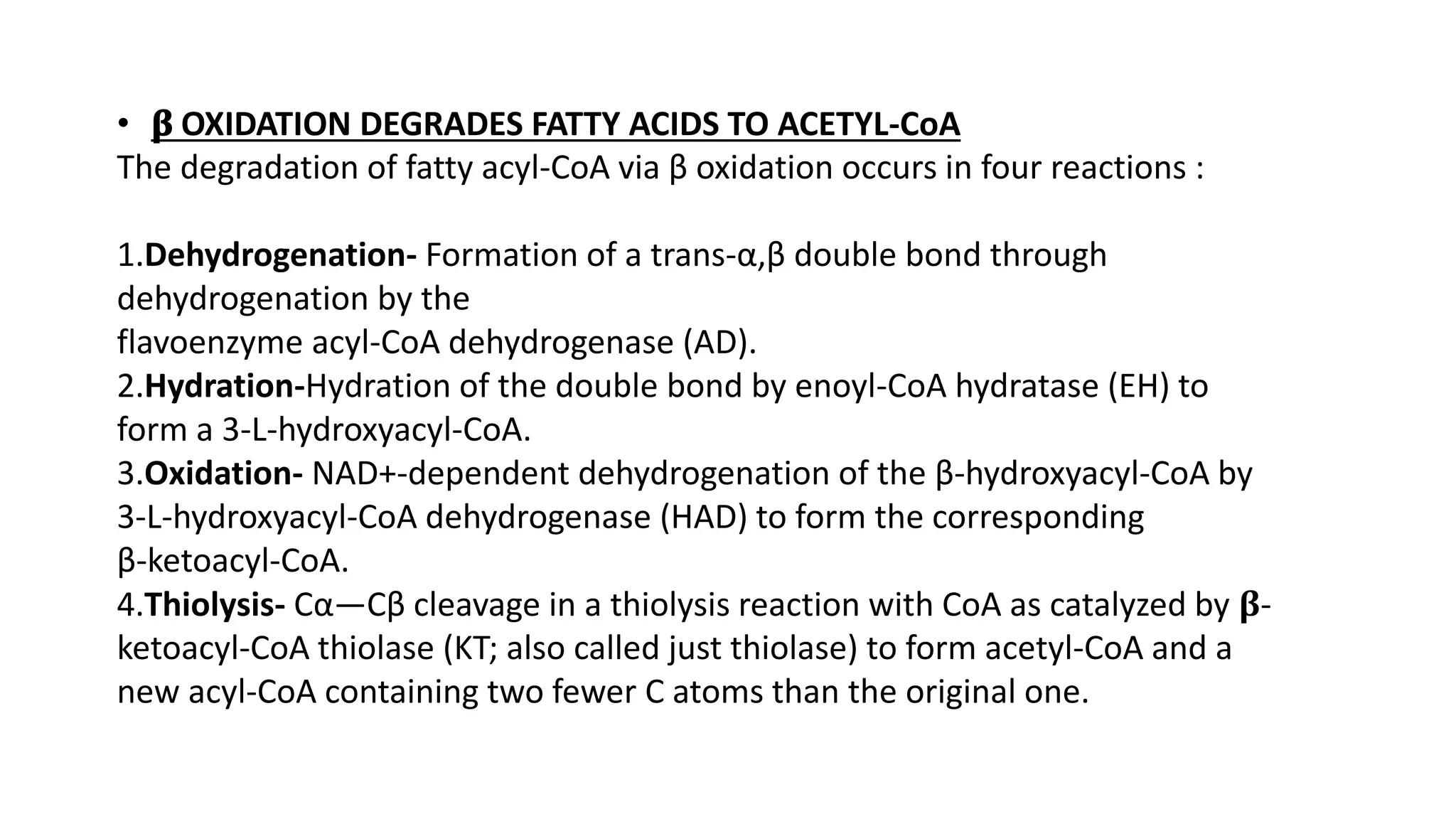 Beta Oxidation of Palmitic acid(fatty acids) with its energetics and ...
