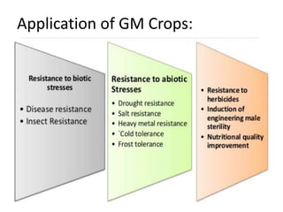 ADVANCES IN BIOTECHNOLOGY OF VEGETABLE CROPS | PPTX