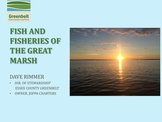 Fish and Fisheries of The Great Marsh David Rimmer, Essex County ...