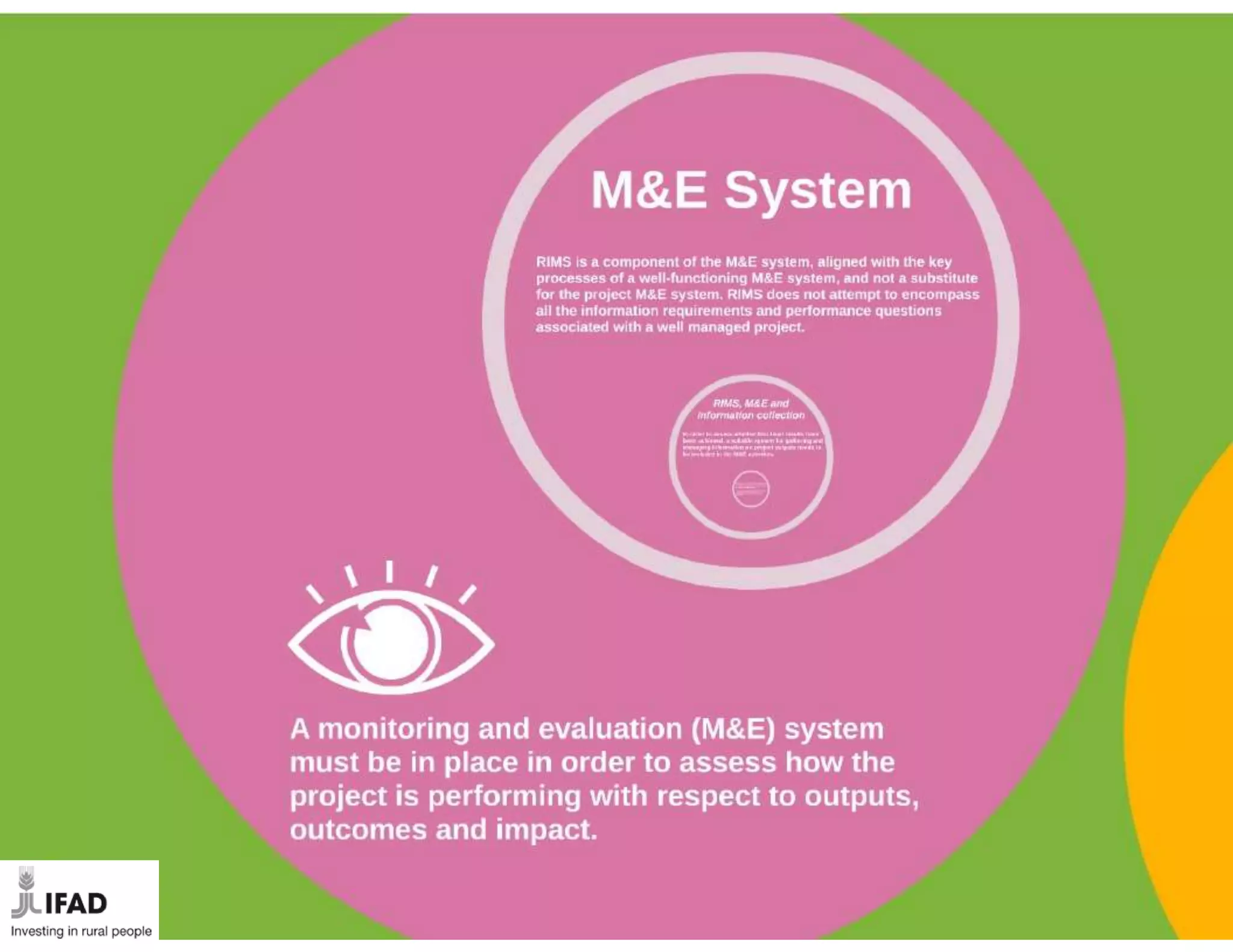 Results and Impact Management System - (RIMS) Tips for reporting | PPSX