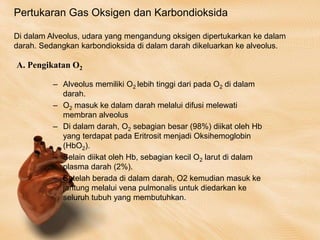 Rina sistem pernapasan | PPT