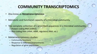 Molecular analysis of Microbial Community | PPTX