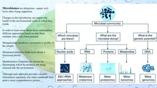 Molecular analysis of Microbial Community | PPTX