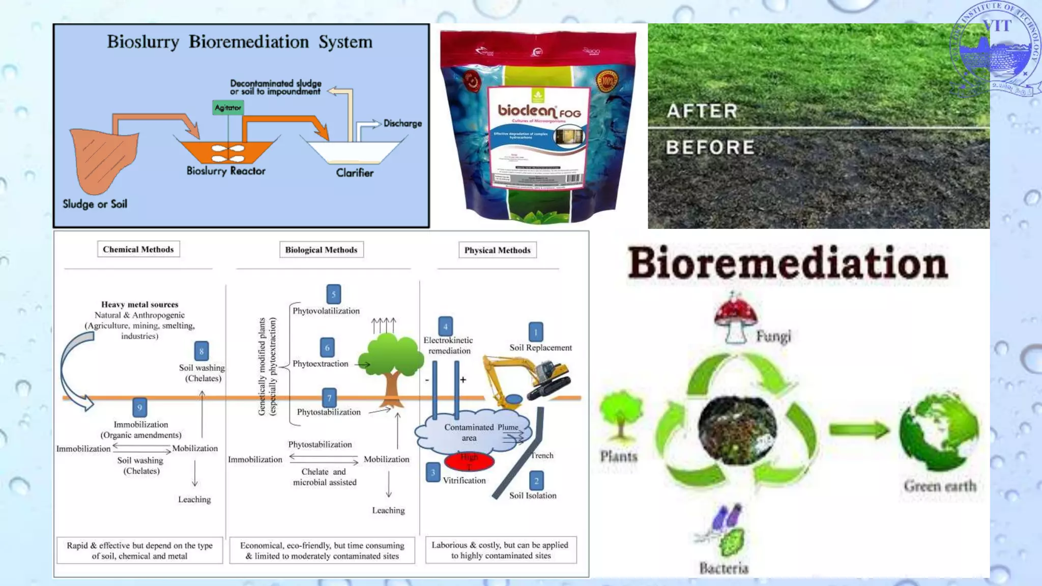 Role of Environmental Biotechnology | PPTX