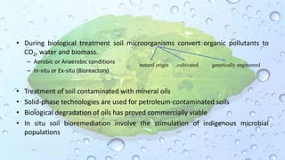 Role of Environmental Biotechnology | PPTX