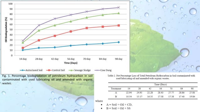 Role of Environmental Biotechnology | PPTX