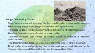 Role of Environmental Biotechnology | PPTX