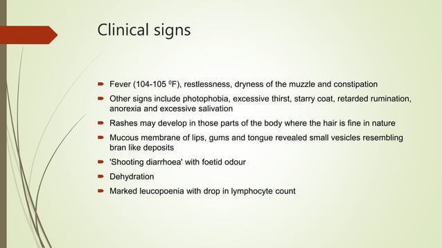 Rinderpest | PPTX | Infectious Diseases | Diseases and Conditions