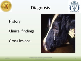 Rinderpest | Cattle Plague - Veterinary Preventive Medicine | PDF