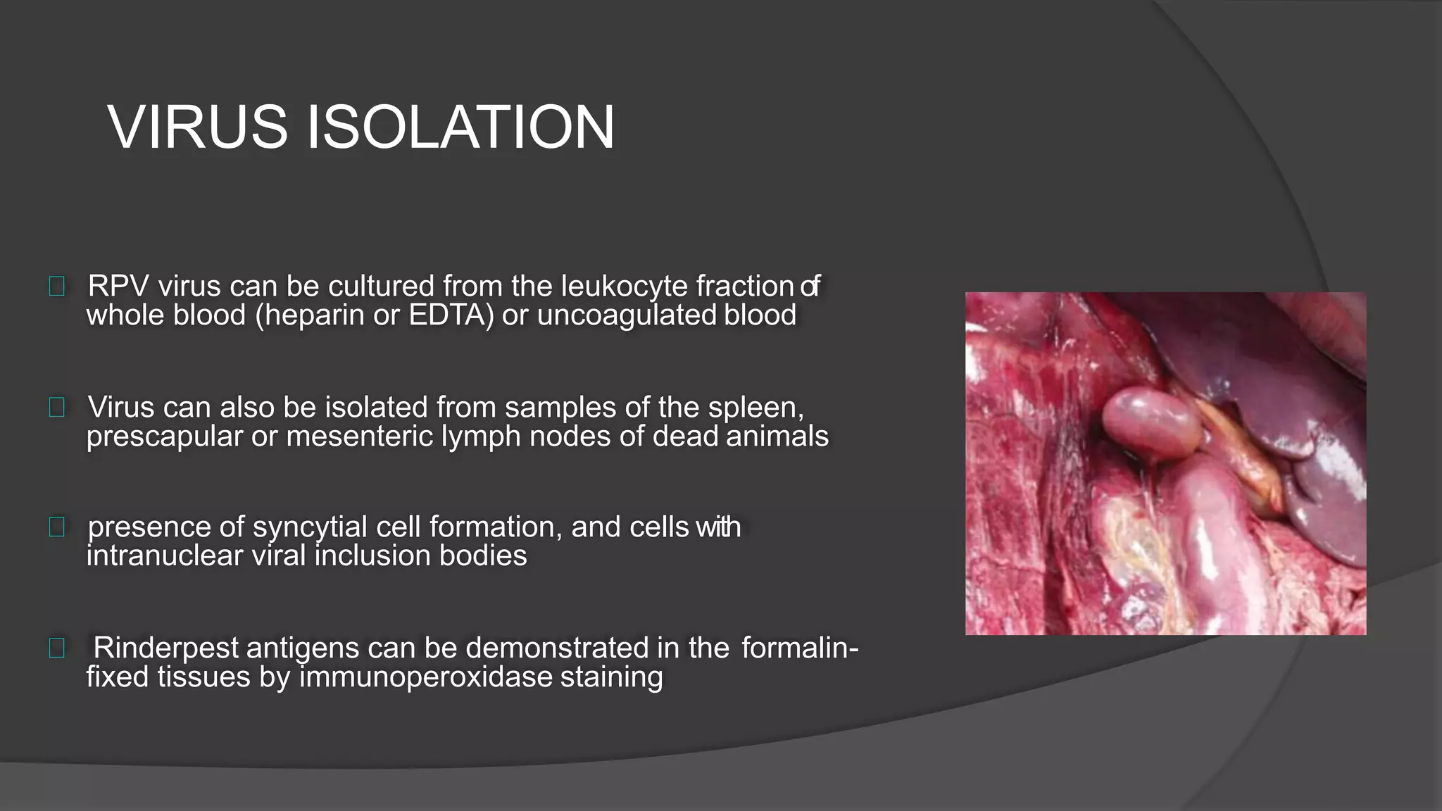 Rinderpest vpm | PPTX