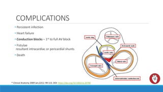 Paravalvular abscess in infective endocarditis | PPTX | Heart and ...