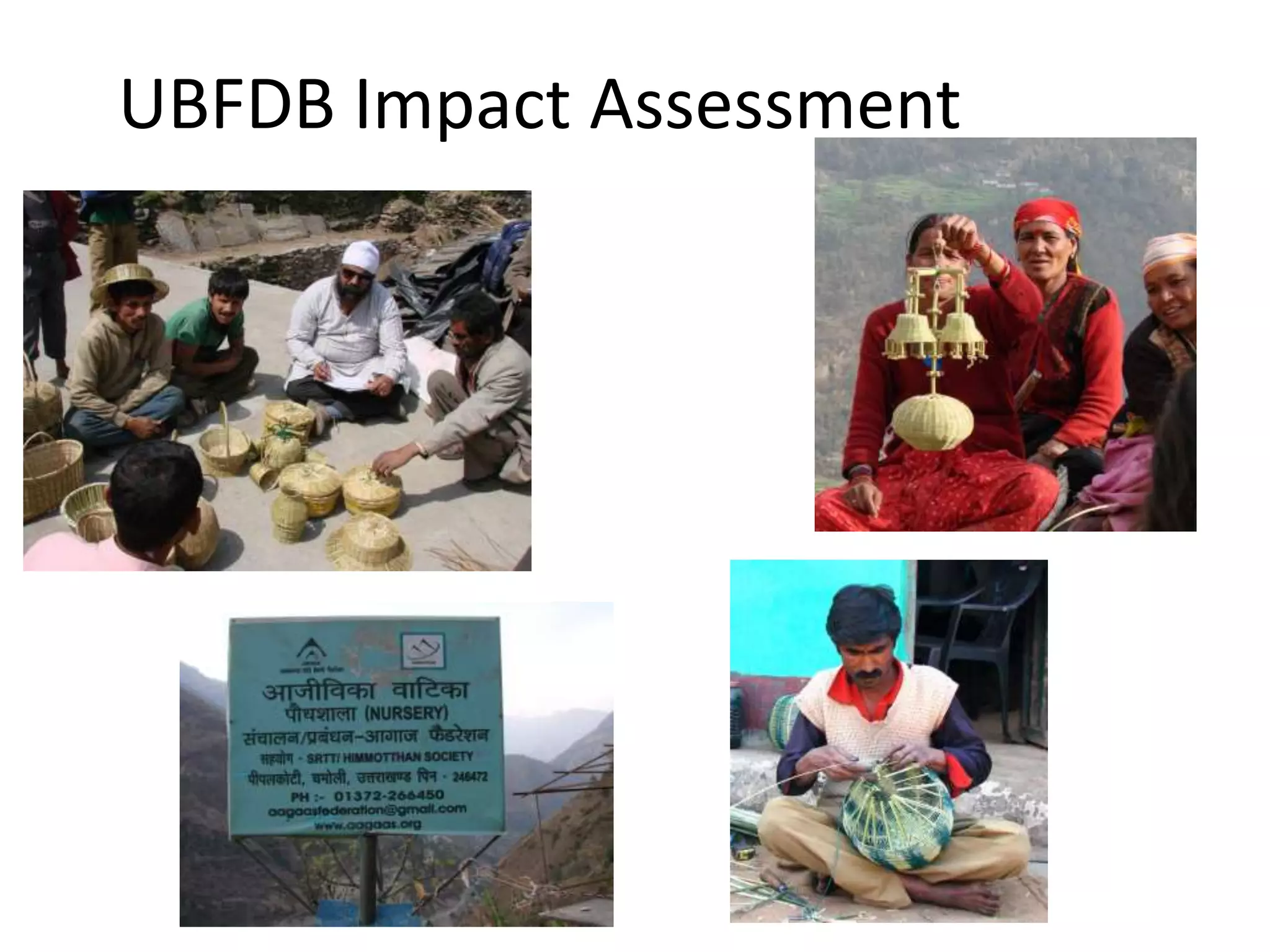 Ringal and nettle | PPTX