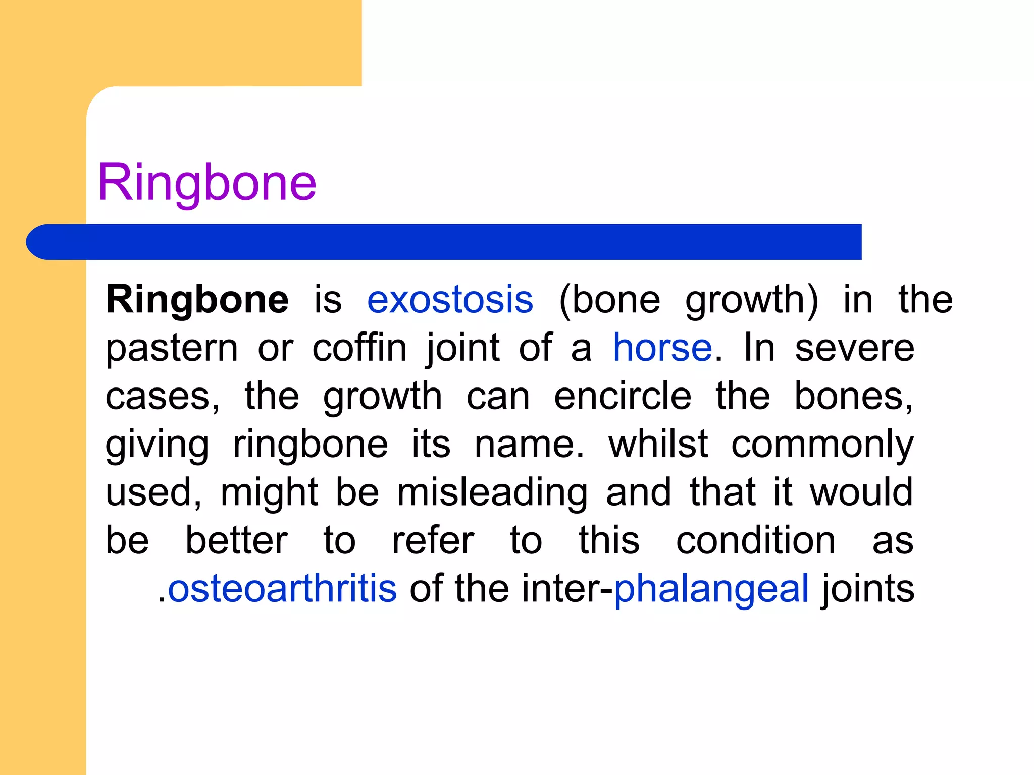Ringbone prof.karouf | PPT