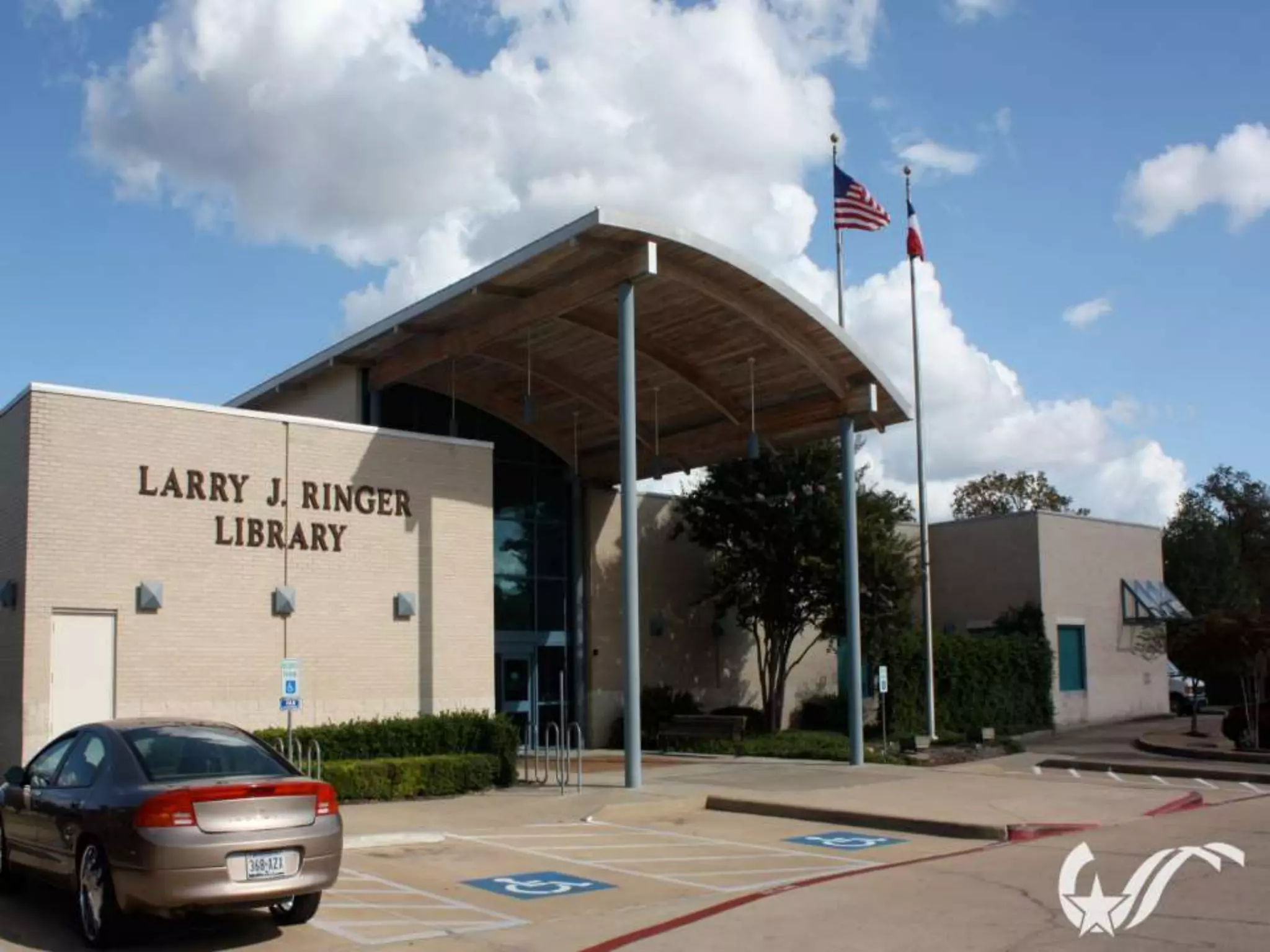 Ringer Library Audit Report | PPT