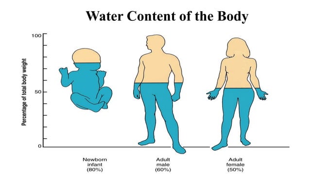RINGERS LACTATE VS NORMAL SALINE.pptx