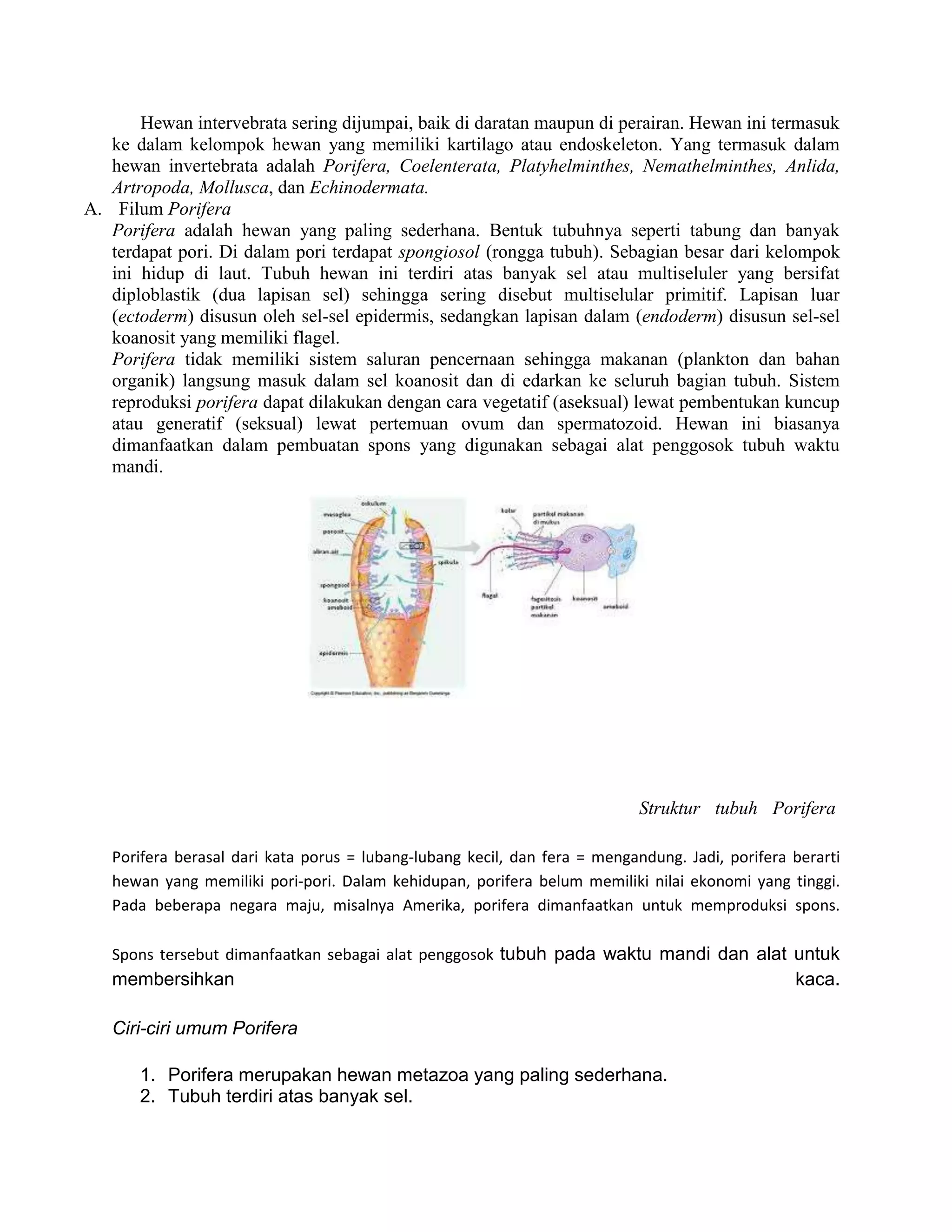 Ringkasan invertebrata | DOCX