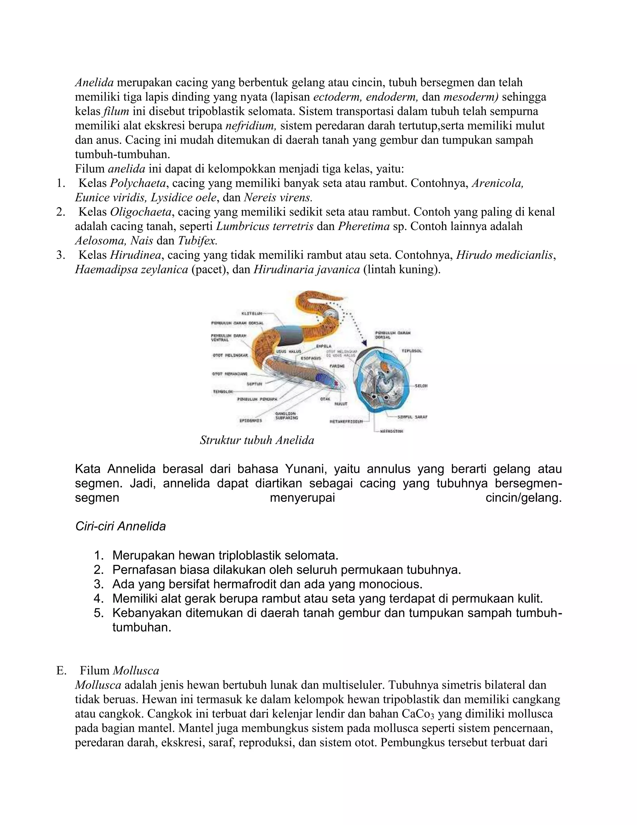 Ringkasan invertebrata | DOCX