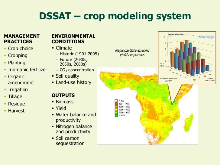 DSSAT – crop modeling system