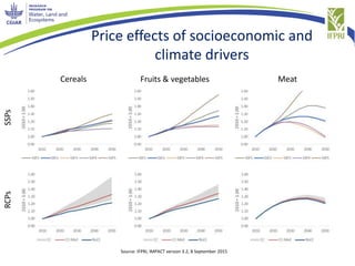 Claudia Ringler, IFPRI | PPT