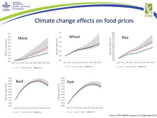 Claudia Ringler, IFPRI | PPT