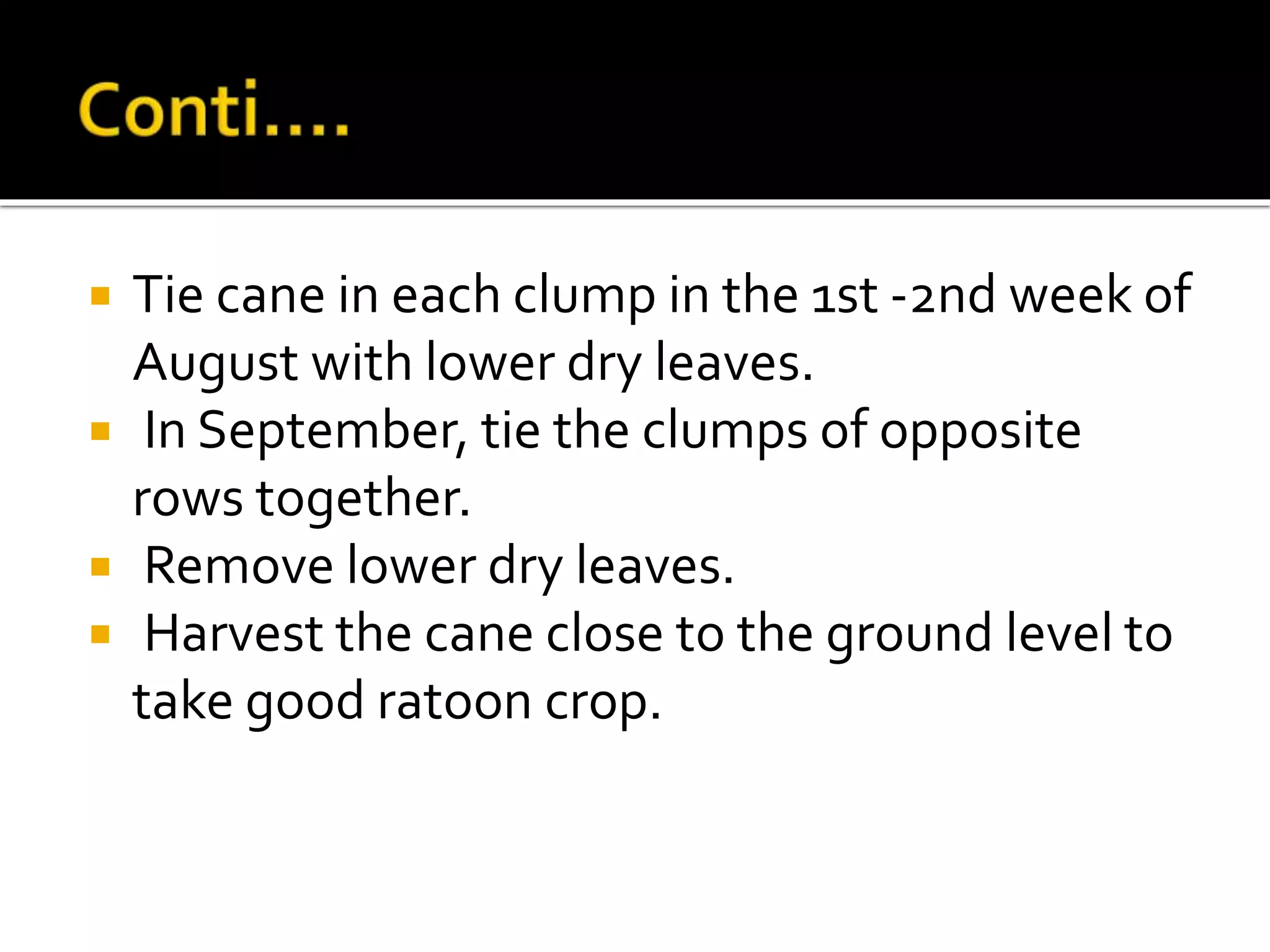 Ring pit method of sugarcane | PPTX