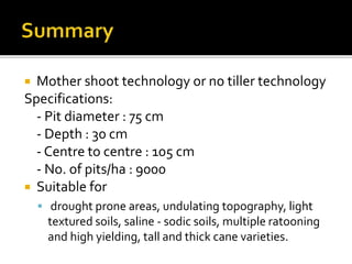 Ring pit method of sugarcane | PPTX