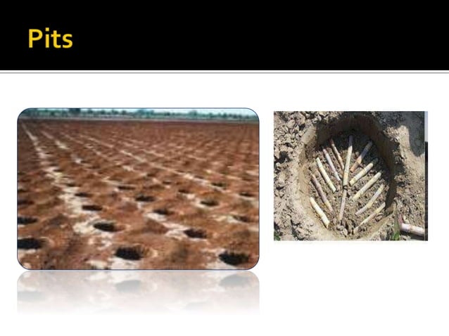 Ring pit method of sugarcane | PPTX | Agriculture | Industries