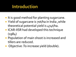Ring pit method of sugarcane | PPTX | Agriculture | Industries