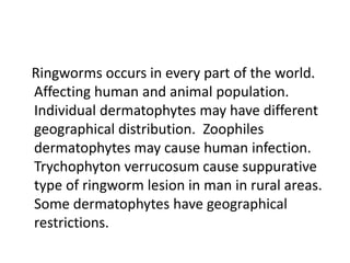 Ringworm | PPTX