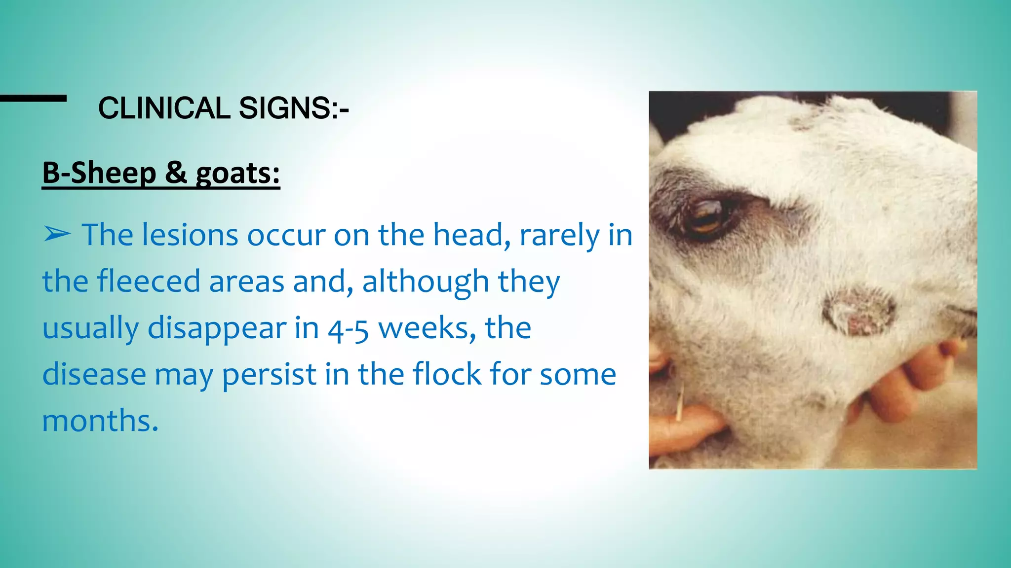 Ring worm in domestic animals.PPTX