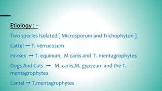 Ring worm in domestic animals.PPTX