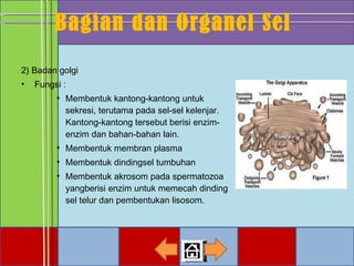 Rininta anggita putri | PPT